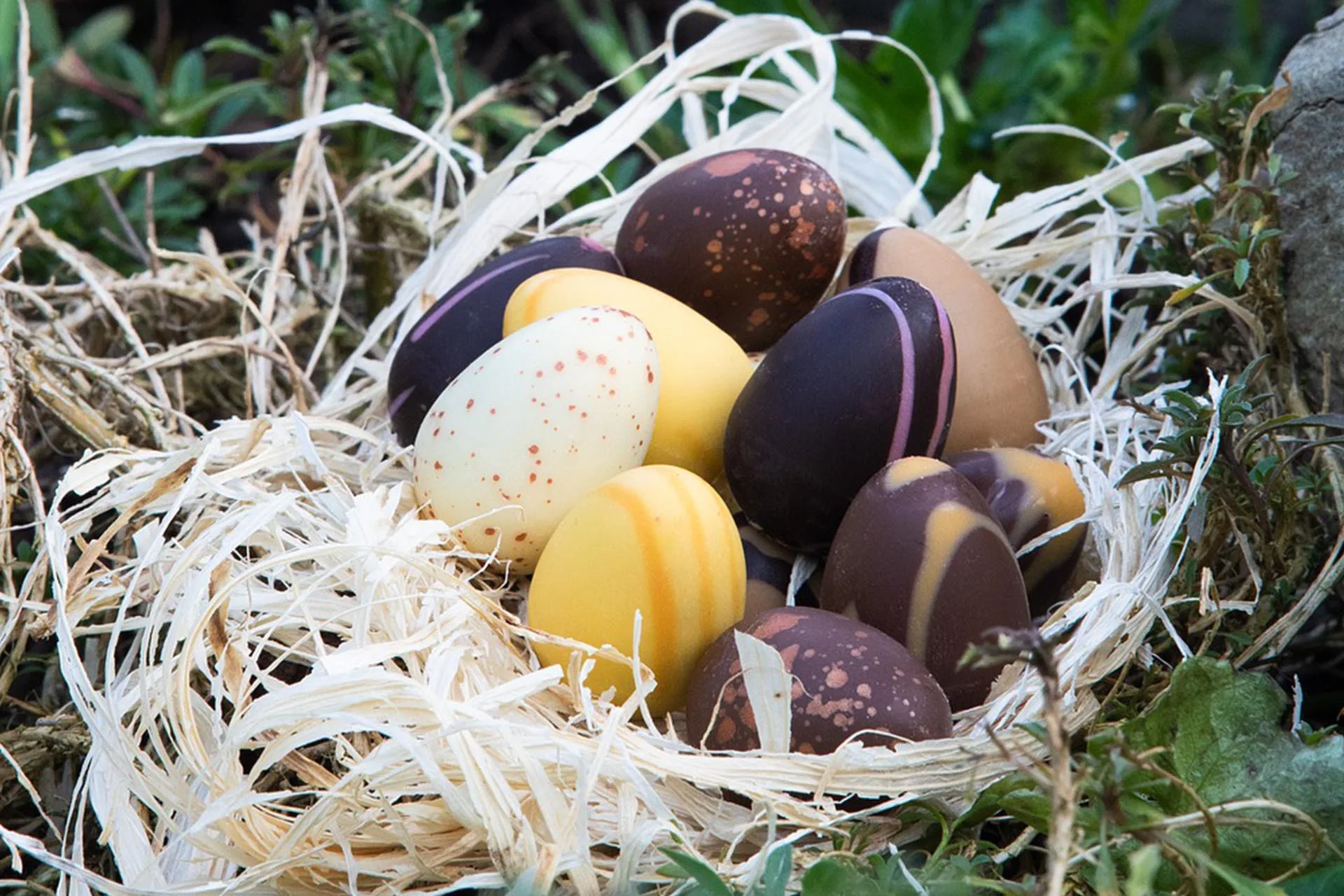 Une journée conviviale dans l’Indre ? Allez à la Fête de Pâques de ...