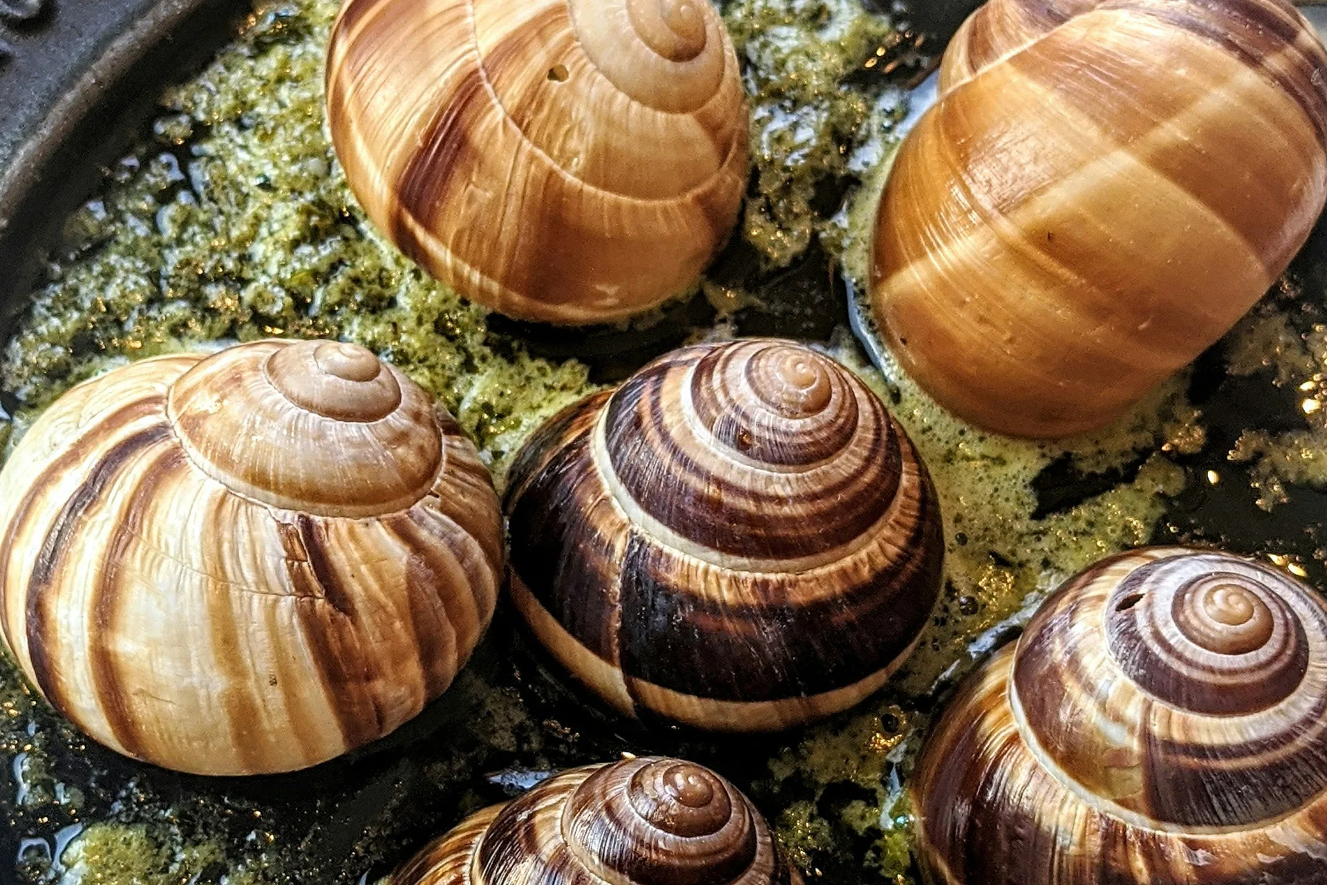 Si l’escargot demande la lune, amenez-le à la Fête des Lumas de Uzay-le ...