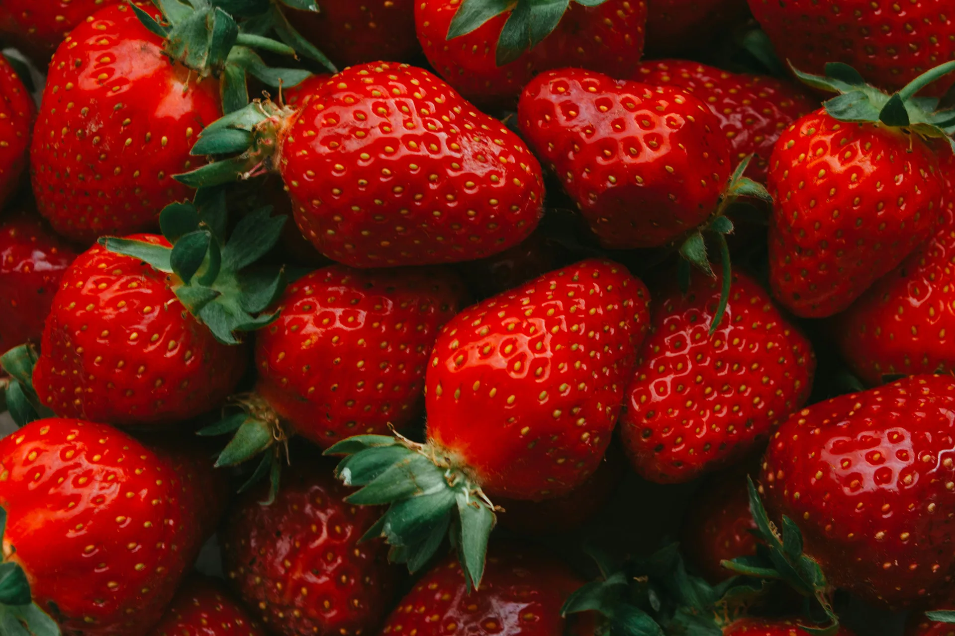 Les fraises ne sont jamais amères à la Fête de la Fraise de Samer en ...